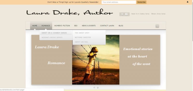 Author Branding with multiple genres | Writers In The Storm