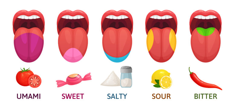Unlock the Secret to Vivid Writing Through Sensory Details